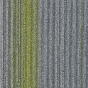 Thảm văn phòng Shaw Contract Color At Work II 5T444