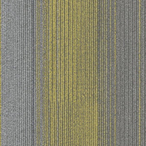 Thảm văn phòng Shaw Contract Color At Work II 5T444